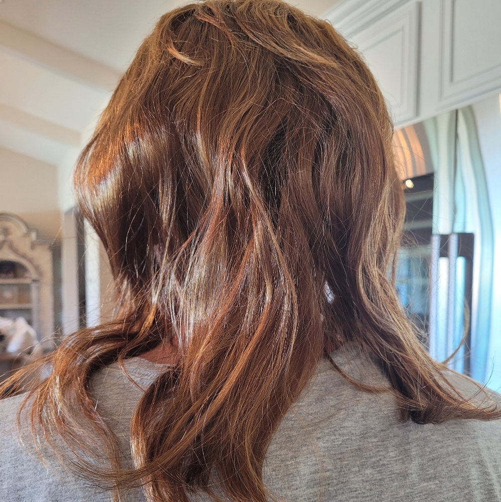 Joe Dirt Mullet Wig Halloween Costume - Gem